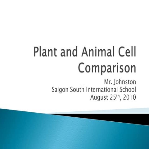 Plant cell comparison | PPTX | Biological Sciences | Science