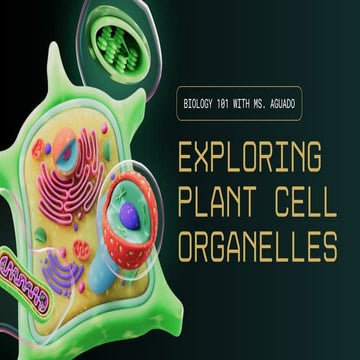 Plant Cell Organelles in CANVA that help all of us | PDF