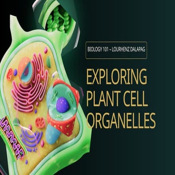 Plant Cell Organelles NGSS Educational Presentation in Black and Yellow ...