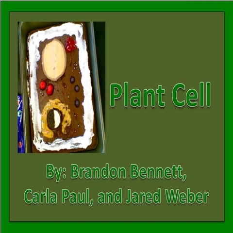 Plant cells | PPTX