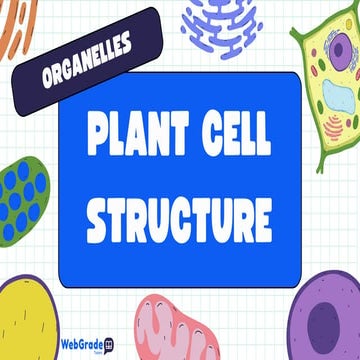 Learning About the Parts of a Plant Cell Structure | PDF