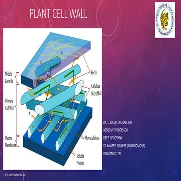 Cell wall structure and function | PPTX