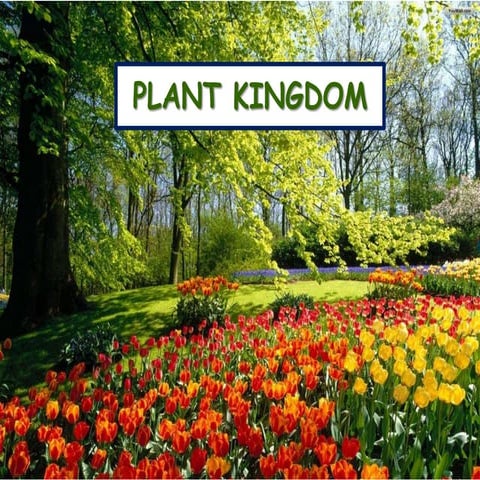 Plant classification | PPTX