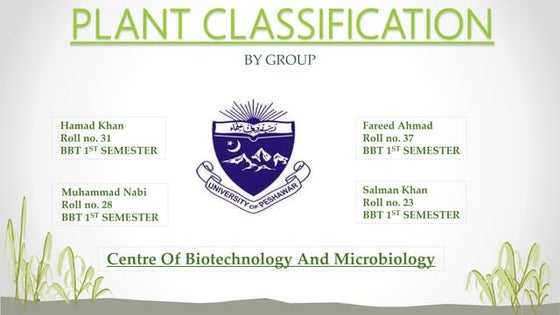 R-The-Classification-of-Plants 20201317.ppt