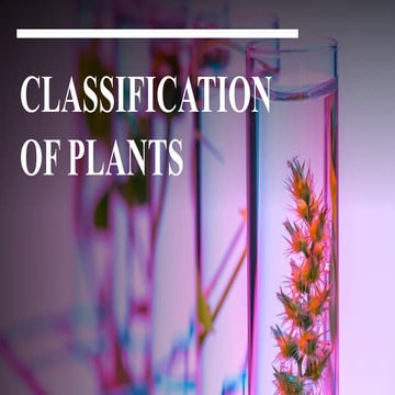 classification of the plants........pptx