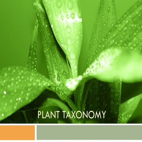 Plant_Classification1_PPT1.ppt for education | PPT