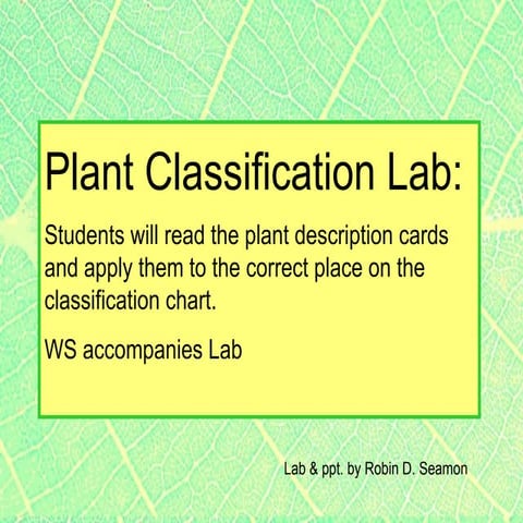 Plant classification LAB: students categorize plants based on physical ...