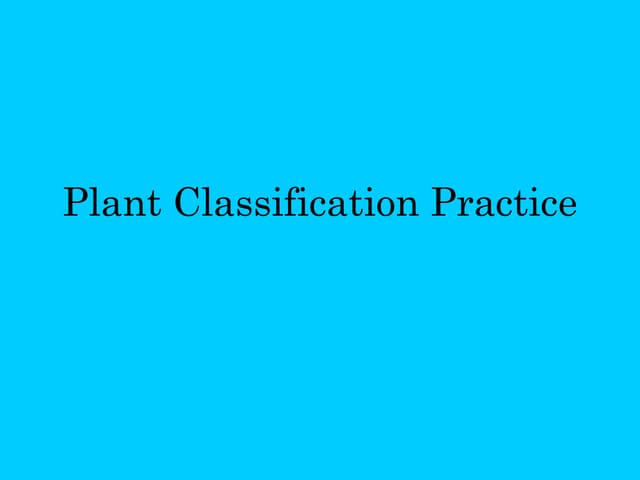 Classifying Plants According to Different Kinds | PPTX