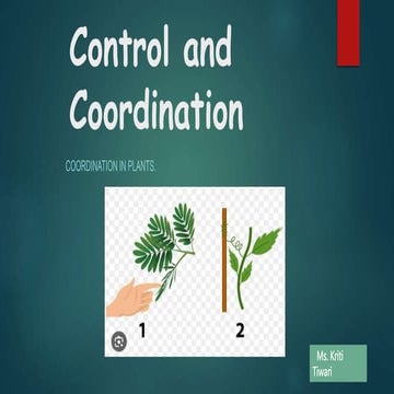 Plant Control And Coordination.pptx
