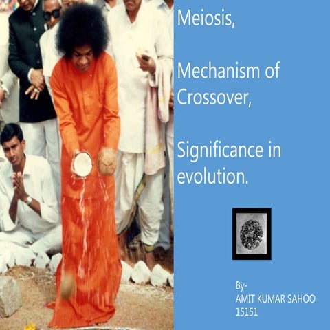 Meiosis Crossing Over Pptx