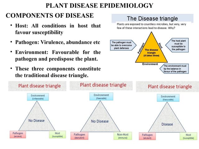 Disease cycle in plant diseases | PDF