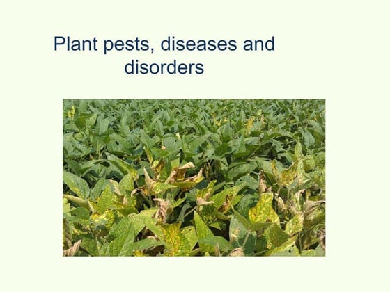 Pest control measures | PPT