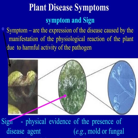 PLANT DISEASE management in the plant pathology | PPT