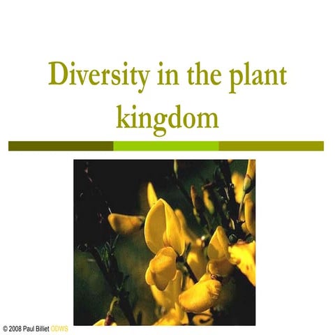 Plantdiversity | PPT