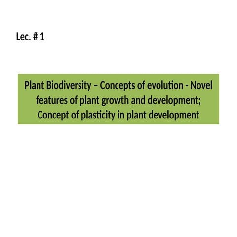 Shoot and root apical meristem | PPTX