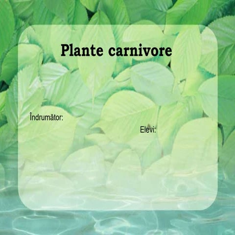 plante carnivore_ppt pentru liceu clasa 10 | PPT