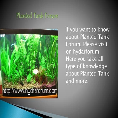 Planted tank forum | PPTX