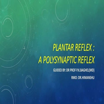 Crossed extention reflex | PDF