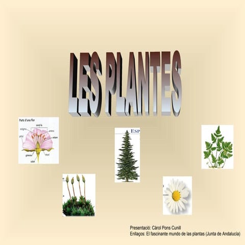 Plantes | PPT