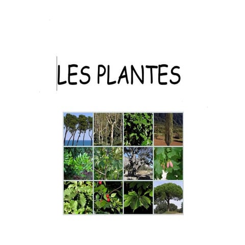 Les Plantes | PDF