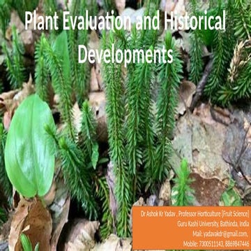 Evolution of plants through different geological time scale | PPTX