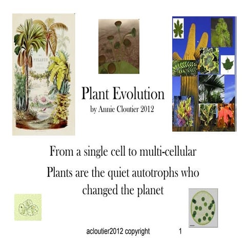 Plant evolution 2012 cloutier | PPT