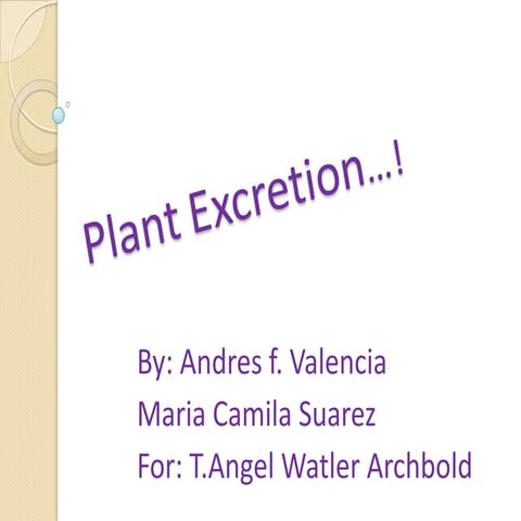 Plant excretion! | PPTX