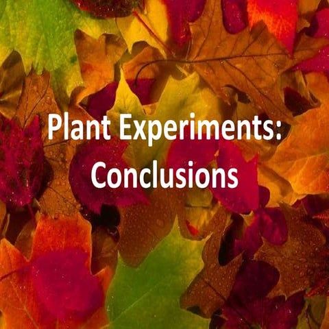 Plant experiments conclusions | PPTX