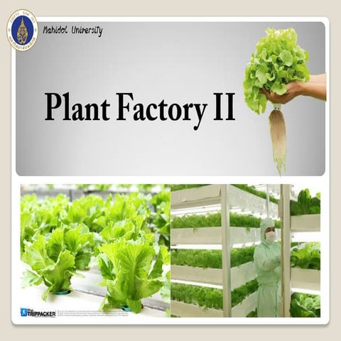 Plant factory II | PDF