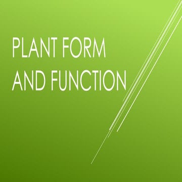 pLant form and function.pptxfcvbnmm.jhasdxgcvbnmkjl | PPTX