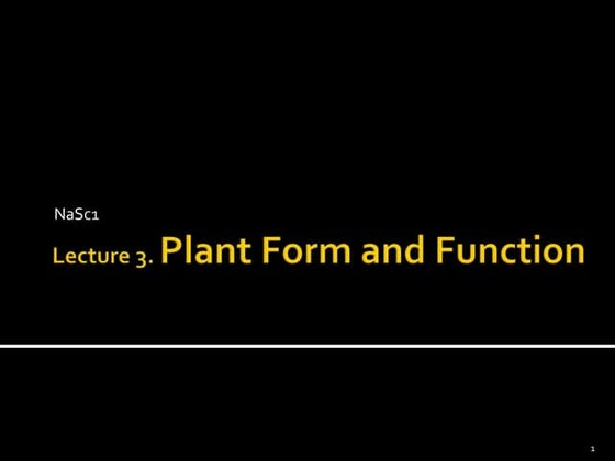 Plant form & function part 2 | PPT
