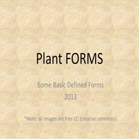 Plant forms | PPTX
