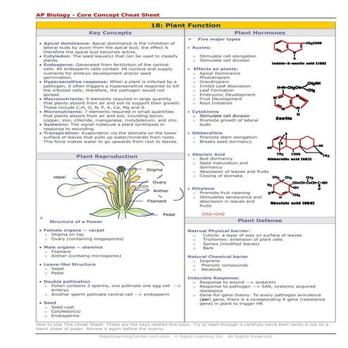 Plant function cheat sheet | PDF