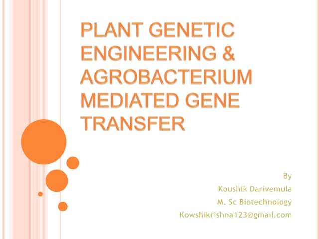 Gene transfer in plants | PPTX
