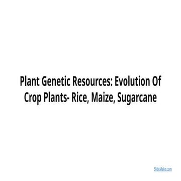 Plant Genetic Resources_ Evolution Of Crop Plants- Rice, Maize ...
