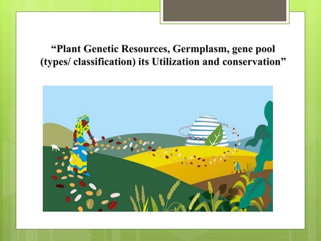 Plant exploration, germplasm collection, conservation and utilization ...
