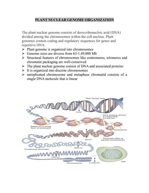 Plant genomics general overview | PPT