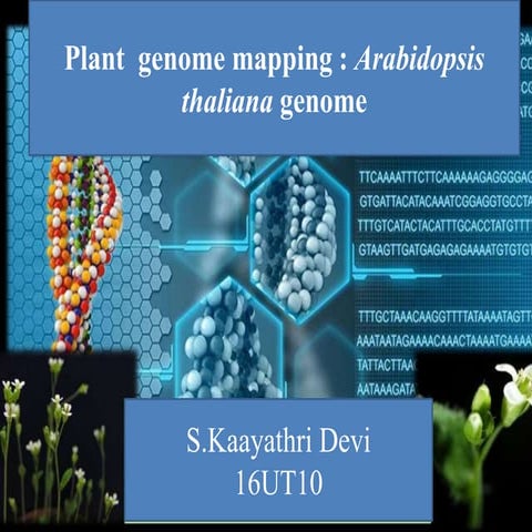 Plant genome mapping | PPTX
