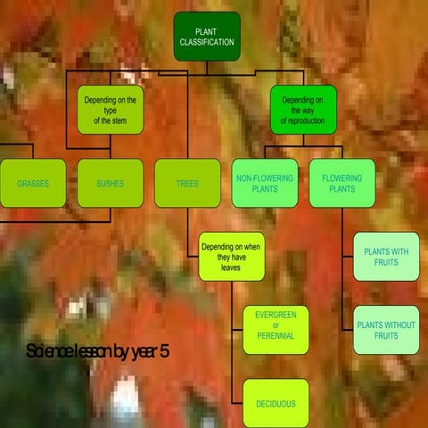 FLOWERING AND NON-FLOWERING PLANTS.pptxFLOWERING AND NON-FLOWERING ...