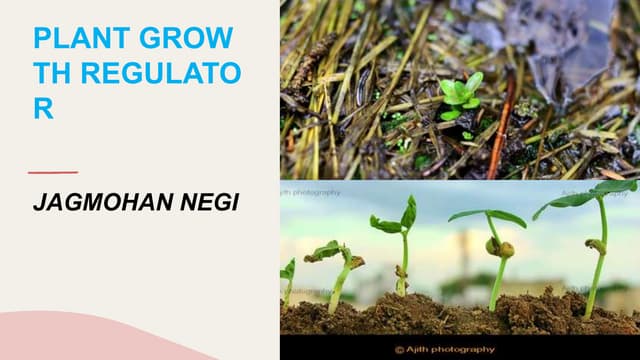 Plant Growth Regulators | PDF