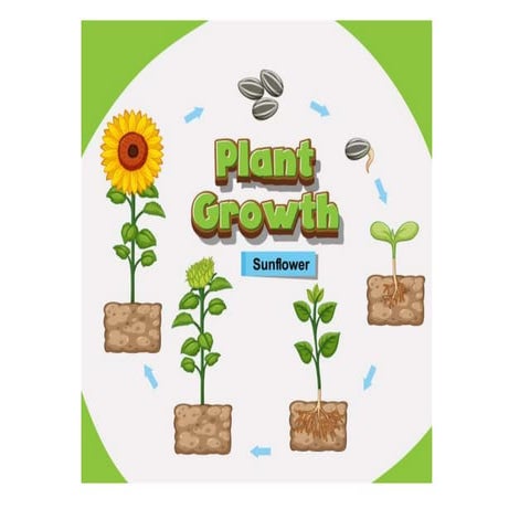 Plant growth | PPT
