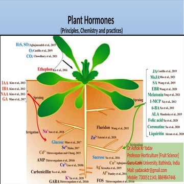 Chapter 15. Plant Growth and Development | PPTX