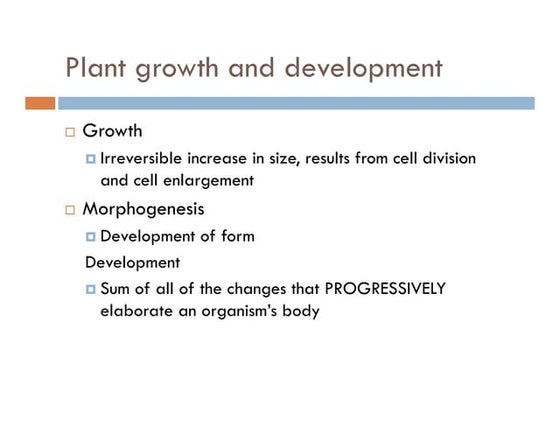 plant hormones class 10 updated.pptx | Endocrine and Metabolic Diseases ...