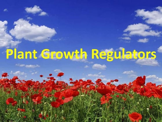 Transpiration and transpirational pull | PPTX