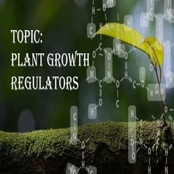 plant growth regulators.pdf for botany students college students | PDF