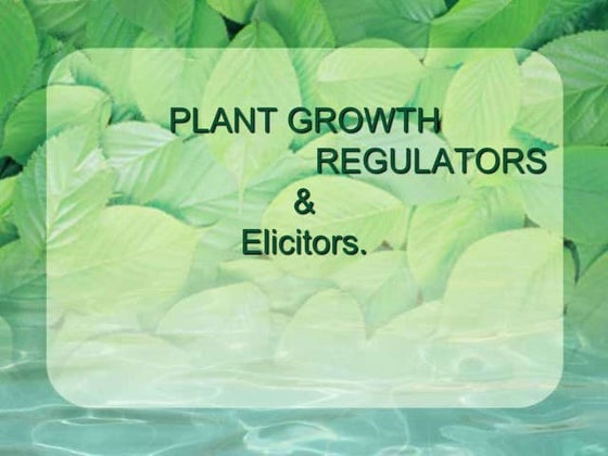 plant hormones class 10 updated.pptx | Endocrine and Metabolic Diseases ...