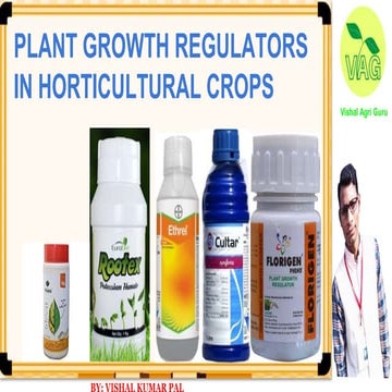 Plant growth regulators in horticultural crops | PPTX