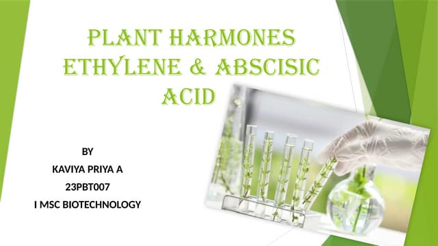 PACBIO SEQUENCING - PRINCIPLE, TYPES, APPLICATION, ADVANTAGE AND ...