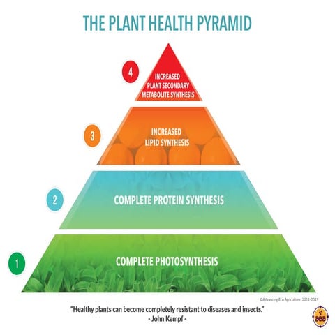 Plant Health Pyramid | PDF