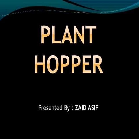 Planthopper | PPT